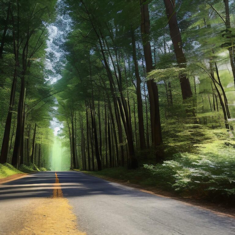 תמונות רקע לטלפון [הורדה חינם] 100+ תמונות לבחירה - Pickture